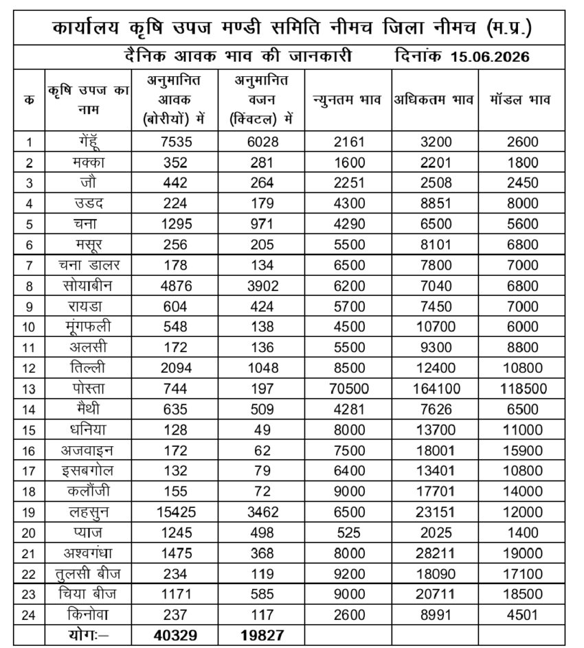 Neemuch Mandi Bhav Today - आज के नीमच मंडी